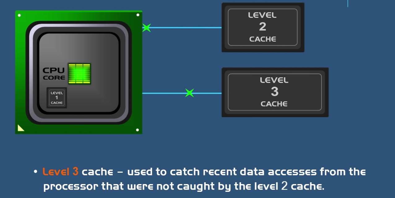 What Does Cpu Cache Do at Herman Genovese blog